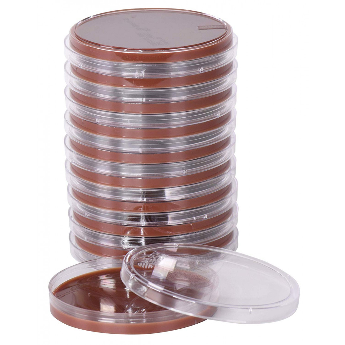 |CHOCOLATE AGAR | ΣΟΚΟΛΑΤΟΥΧΟ|