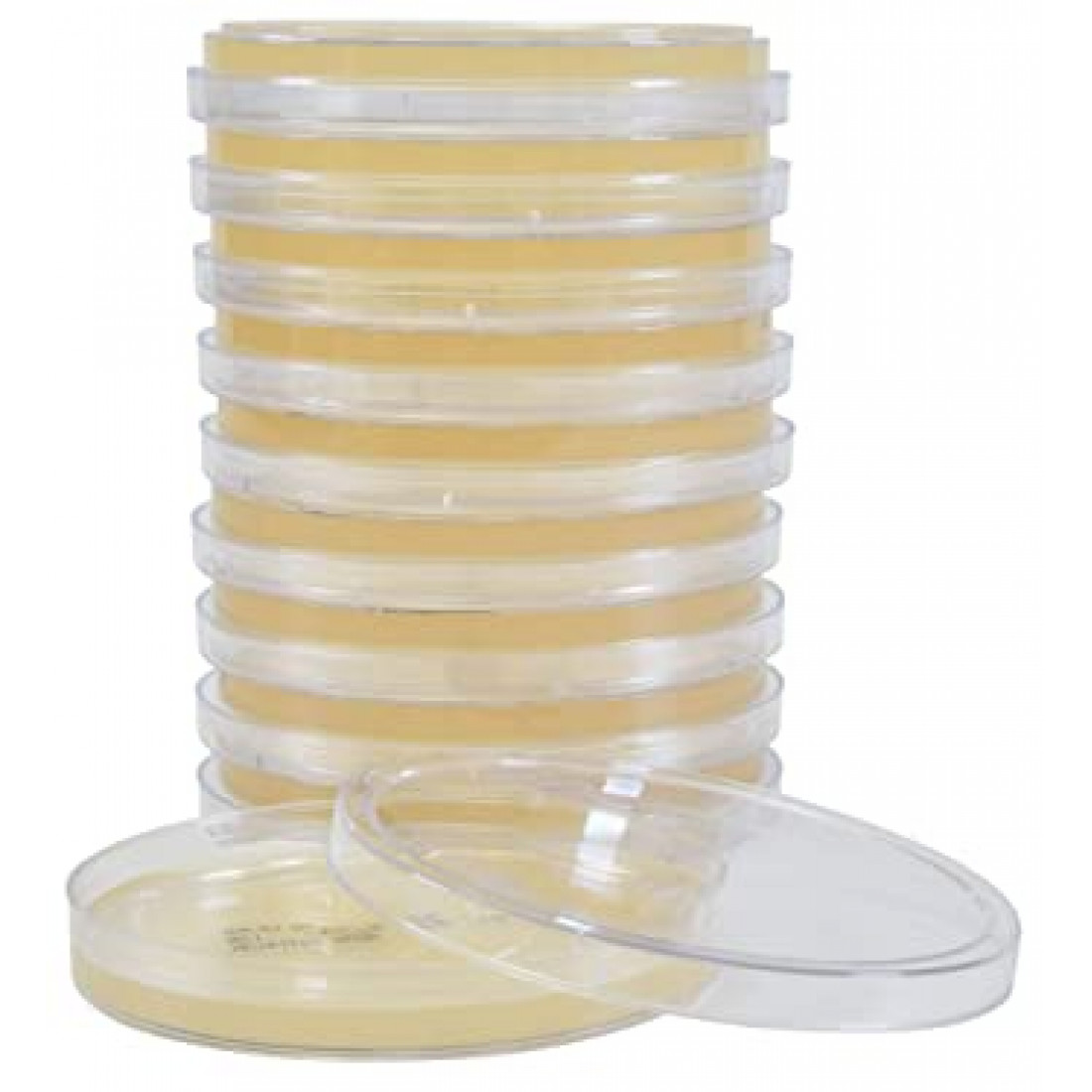|MUELLER HINTON AGAR|