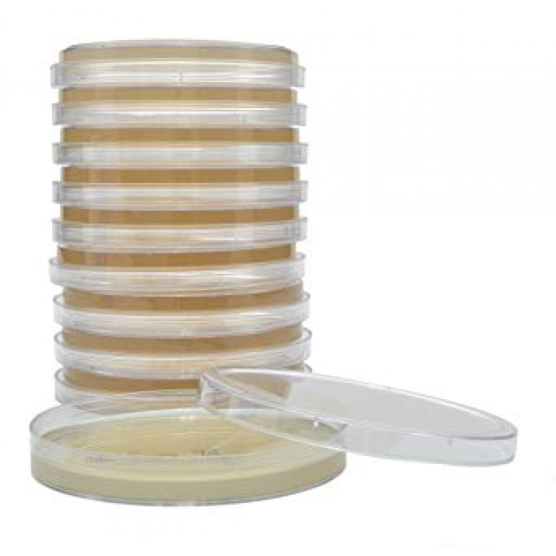 SABOURAUD DEXTROSE AGAR