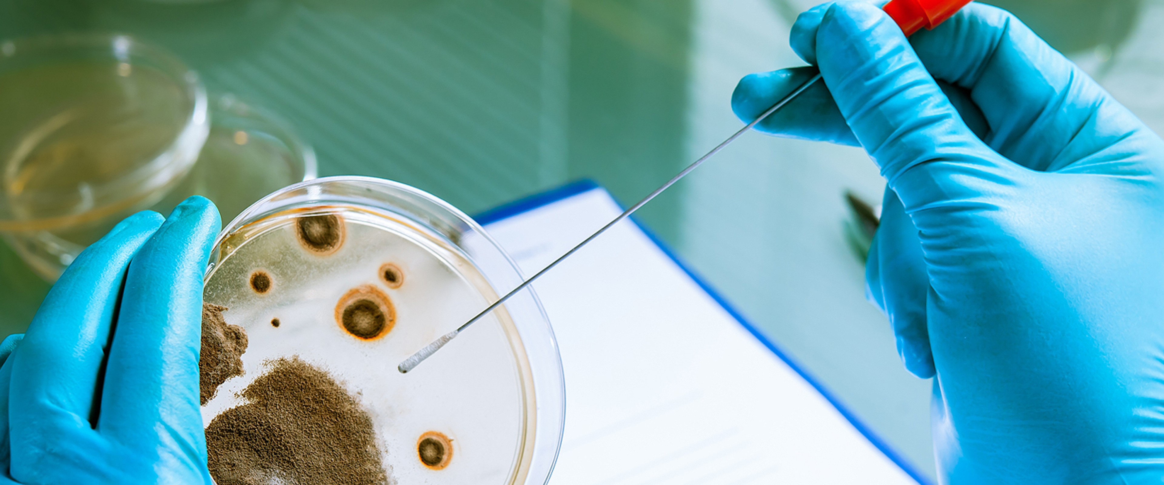 MEDPAP | ΙΑΤΡΙΚΑ ΑΝΑΛΩΣΙΜΑ | ΥΓΕΙΟΝΟΜΙΚΟ ΥΛΙΚΟ | ΘΡΕΠΤΙΚΑ ΥΛΙΚΑ